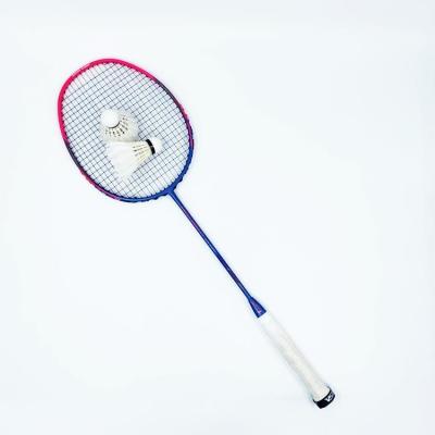 Cina Shuttlecocks Birdies Professional Dmantis D7 Full Carbon Graphite Badminton Racket in vendita