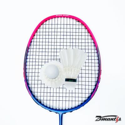 Cina China Factory Wholesale High Quality 5u Level Full Carbon Fiber Badminton Racket Single Piece in vendita