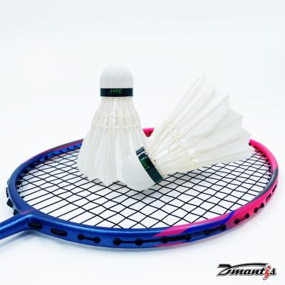 Cina China Factory Wholesale High Quality 5u Level Full Carbon Fiber Badminton Racket Single Piece in vendita