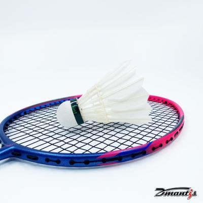 Cina China Factory Wholesale High Quality 5u Level Full Carbon Fiber Badminton Racket Single Piece in vendita