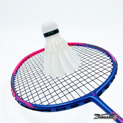 Cina China Factory Wholesale High Quality 5u Level Full Carbon Fiber Badminton Racket Single Piece in vendita