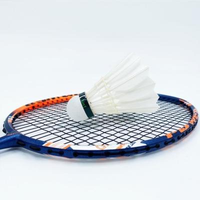 Cina Badminton Racket Carbon Fiber Factory Price Badminton Racket for Professional Training 100% Carbon Fiber in vendita