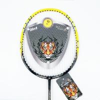 China Graphite Fiber Badminton Racket High Durable PRO Racket for Training for sale