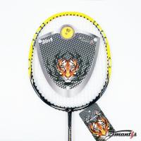 China Dmantis Graphite Fiber Badminton Racket High Durable PRO Racket for Training for sale