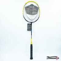 China Dmantis Graphite Fiber Badminton Racket High Durable PRO Racket for Training for sale