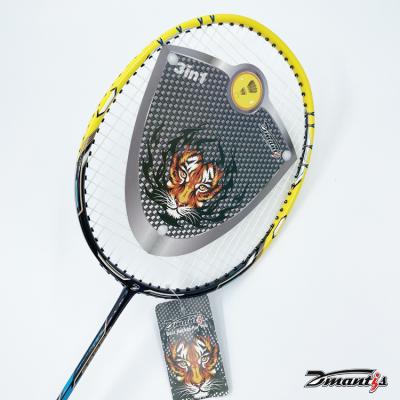 China Dmantis Brand Carbon Badminton Racket Customized Design Factory Price DMS55 with String and Cover Bag à venda