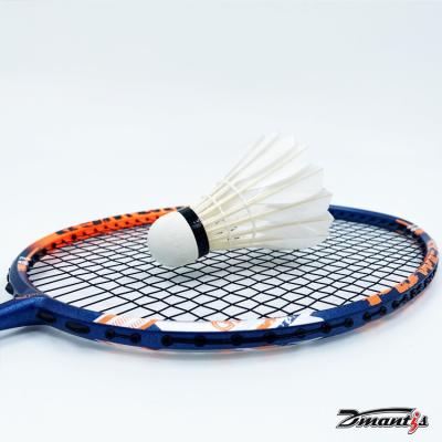China Factory Wholesale Price High Quality Full Carbon Graphite Badminton Racket with String Te koop