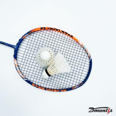China Factory Wholesale Price High Quality Full Carbon Graphite Badminton Racket with String Te koop