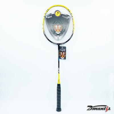 China 2 Player Badminton Racket Carbon Badminton Racket Set with Carry Bag Strength Training Trainer Te koop