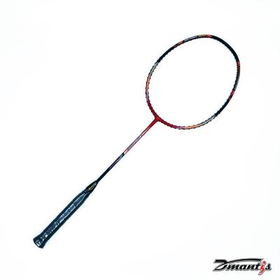 Cina Competition Carbon Fiber Graphite Professional Badminton Racket Ultra Light Level Professional in vendita