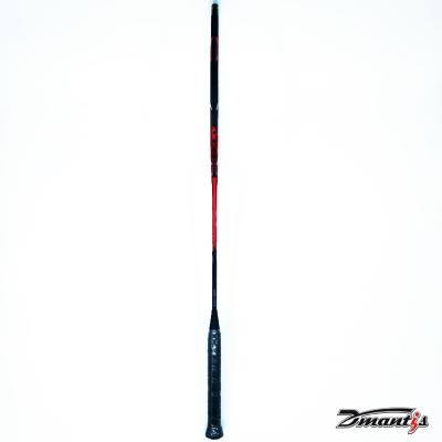 Cina Competition Carbon Fiber Graphite Professional Badminton Racket Ultra Light Level Professional in vendita