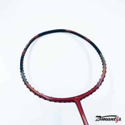 Cina Competition Carbon Fiber Graphite Professional Badminton Racket Ultra Light Level Professional in vendita