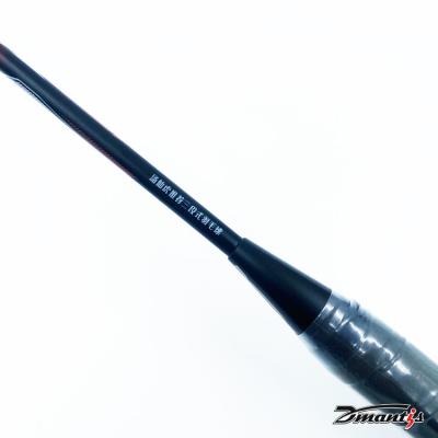 Cina Competition Carbon Fiber Graphite Professional Badminton Racket Ultra Light Level Professional in vendita