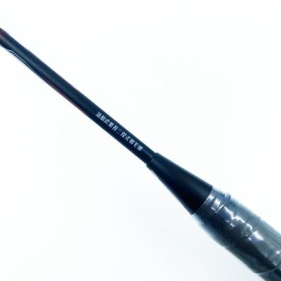 Cina Carbon Badminton Racket 100% Carbon Dmantis Brand Badminton Rackets in vendita