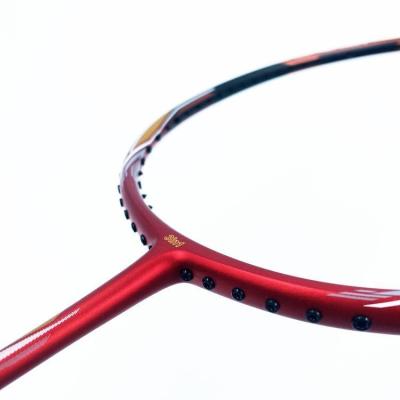 Cina Professional Factory Customized 100% Carbon Fiber Badminton Rackets in vendita