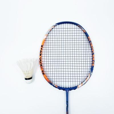 Cina Dmantis Hot Sell Badminton Racket Set Wholesale Factory Offer in vendita