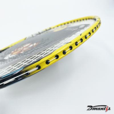 Cina New Style Professional Half Carbon Shuttlecock Racquet Paddle Racket in vendita