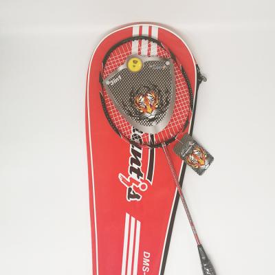Cina Fiber Badminton Racket and 3in1 Shuttlecock Set DMS55 Set in vendita