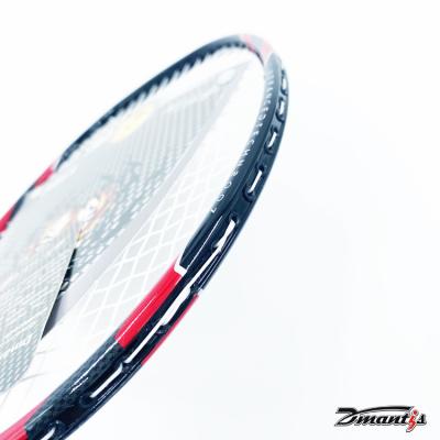Cina Best Seller Factory Direct Supply Products Badminton Racket Set for Intermediate Professional DMS55 in vendita