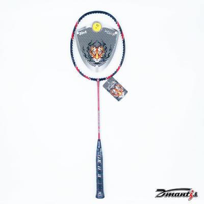 Cina Special Hot Selling Badminton Racquets Lightweight Carbon Fiber Racket DMS55 Set in vendita