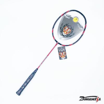 Cina Carbon Badminton Racket Customized Design Factory Price DMS55 with String and Cover Bag in vendita