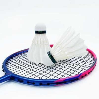 Cina D7 OEM Badminton Racket Offensive Type Full Carbon Fiber Racket in vendita