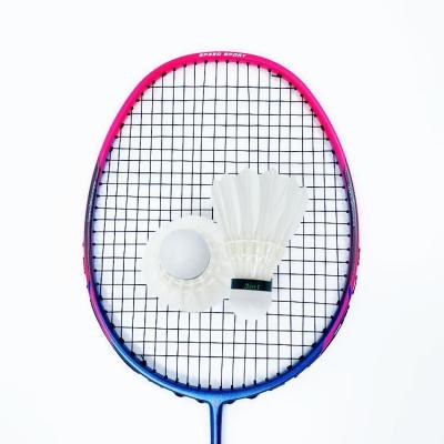 Cina Manufacturer Design Dmantis Brand Full Carbon Badminton Racket Training Type in vendita