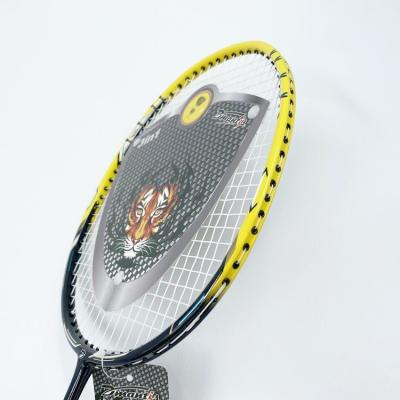 Cina Badminton Racket Racquet with String Cover Bag DMS45 Carbon Graphite Racket in vendita