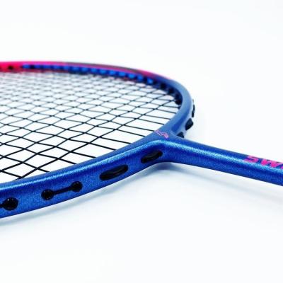Cina Dmantis D7 Wholesale Professional Level Good Quality Badminton Racket Chinese Factory Direct Sale Custo in vendita
