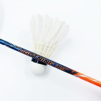 Cina Professional Factory Customized D9 100% Carbon Fiber Badminton Rackets in High Tension in vendita