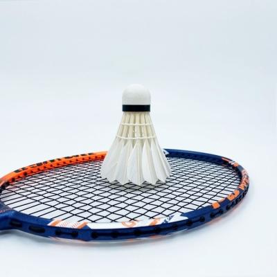 Cina Wholesale OEM Full D9 Carbon Fiber Badminton Racket with String High Tension Badminton Shuttlecocks Rac in vendita