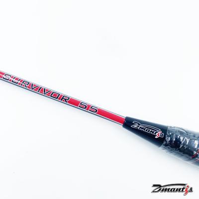 Cina 2023 New Arrived professional Badminton Racket Custom Carbon Badminton Rackets in vendita