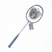China Dmantis Badminton Racket Cheap Carbon Graphite Badminton Racket for sale