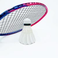 China Dmantis D7 Super Light Graphite Fiber Badminton Racket for Professional Usage for sale