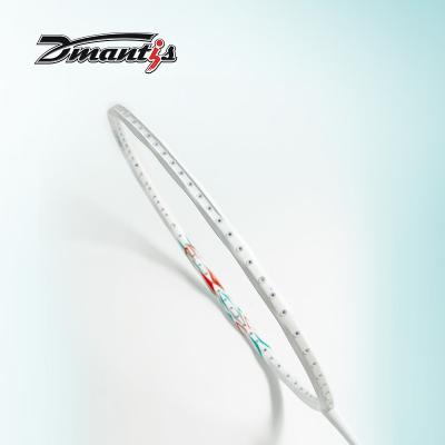 Cina Dmantis 4u T30 Full Carbon Fiber Graphite Badminton Rackets in vendita