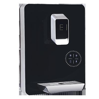 China Home water purifier LT-RG12 tyrant gold/classical black fast heat child lock design for sale