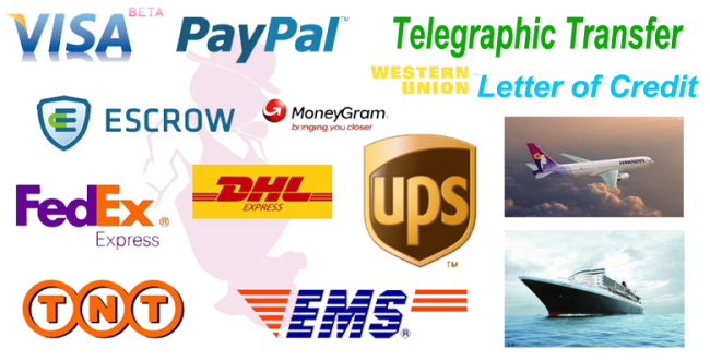 Payment and Shipment