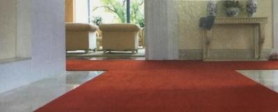 Cina Entrata Mats Vip Door Mat Compound dell'hotel della fibra sintetica di gomma in vendita