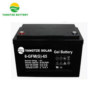 Cina 12V 65Ah AGM Gel Battery With ABS Plastic Battery Box in vendita