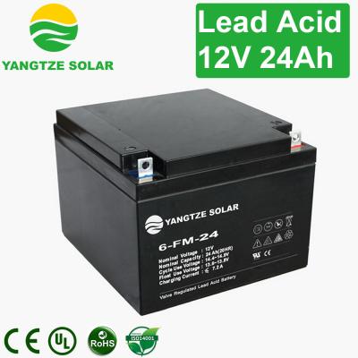 Cina 12V 24Ah Sealed Storage Battery M8 / M10 Absorbed Glass Mat Battery For Energy Storage in vendita