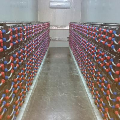 Cina Batteria OPZS tubolare da 2V a 1000Ah con durata di vita superiore a 20 anni in vendita