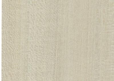 China Adornment PET Heat Transfer Film Mdf Wall Panel Polyethylene Terephthalate Film for sale