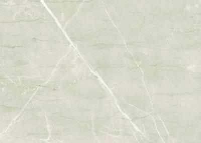 China Water Resistant Wall Decoration Sheet No Painting Operation Simple Moth Proof for sale