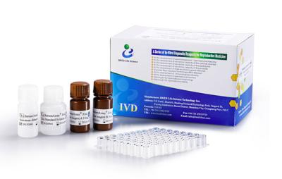 Cina Zinchi il corredo della prova del corredo/zinco di analisi per i livelli seminali dello zinco del plasma della determinazione in vendita