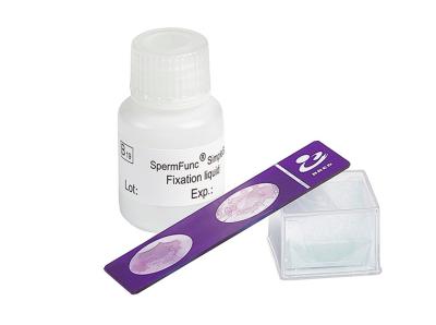 중국 혈구 형태 검사 프리 착색된 슬라이드 판매용