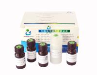 China Kit to Evaluate Sperm DNA Integrity for sale
