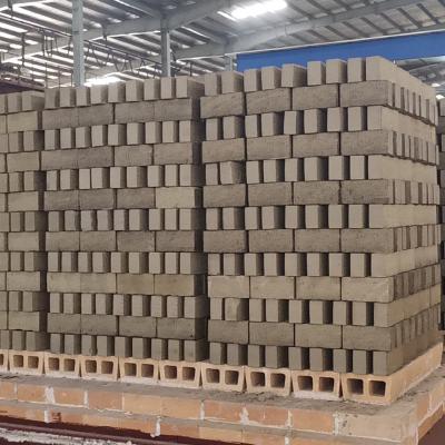 Cina Full Automatic Clay Brick Tunnel Kiln With Dryer Chamber in vendita