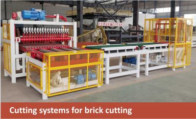 China Full Automatic Brick Cutting System for Sintered Brick Factory for sale