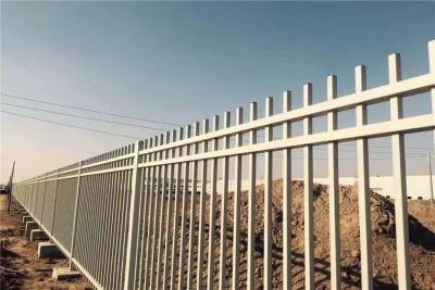 Cina Altezza d'acciaio tubolare del recinto 1800mm 2000mm del giardino superiore del picchetto in vendita