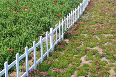 Cina Fence metallica tubolare in acciaio galvanizzato Q195 o Q235 rivestita in polvere nera in vendita